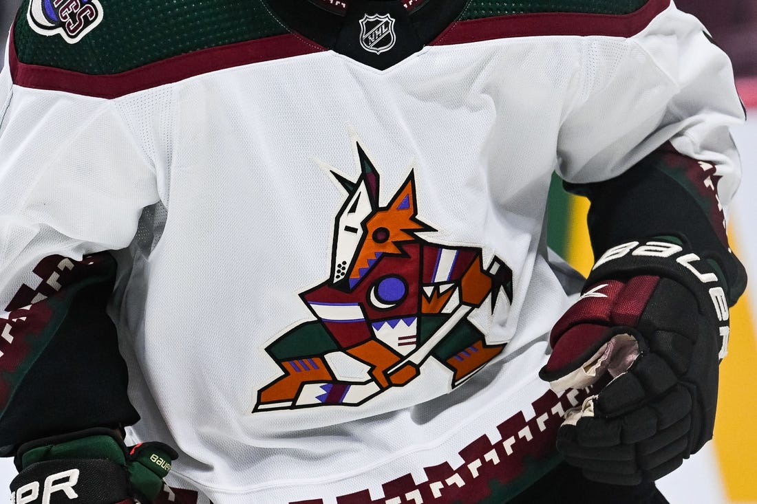 Reports: Alex Meruelo abandons plan to bring NHL back to Arizona ...