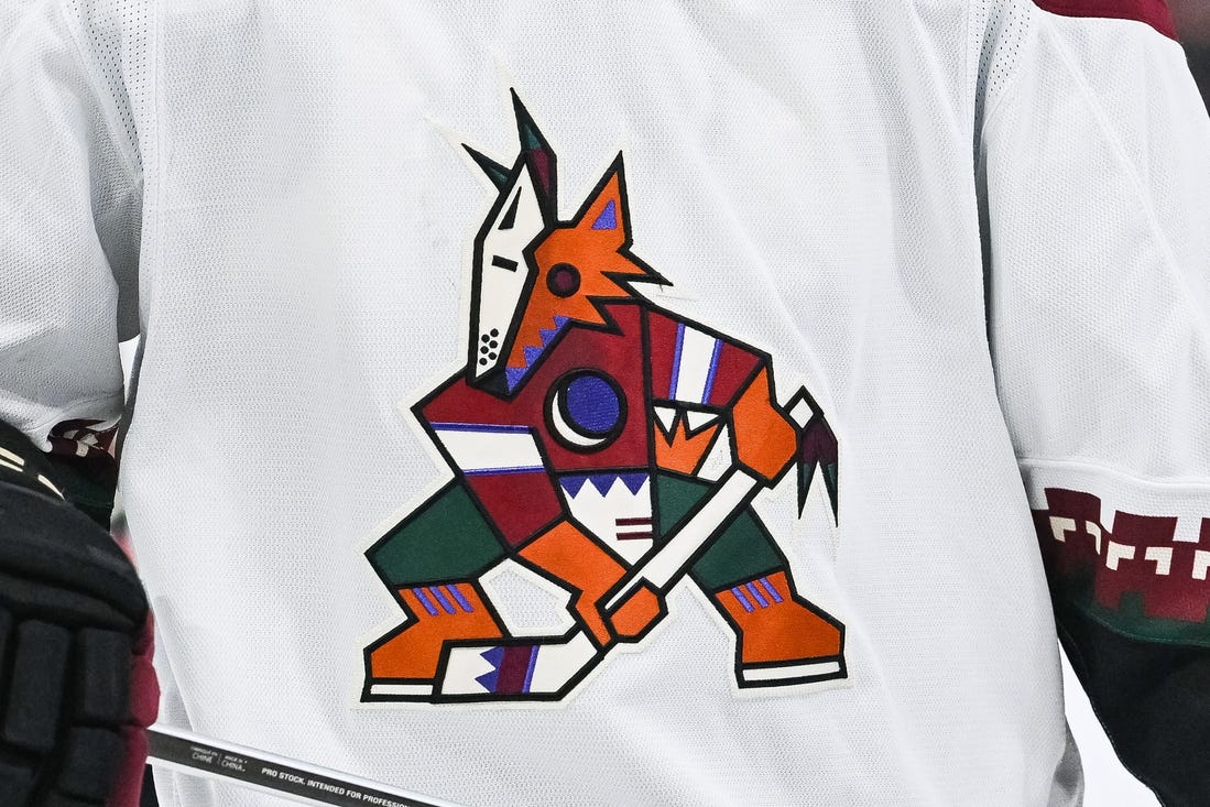 Blizzard, Yeti among finalists for Utah's NHL team name - Field Level ...