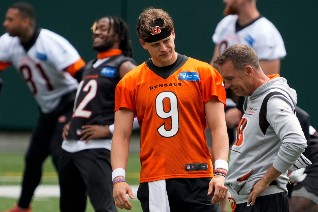 Bengals fire DC Lou Anarumo, three position coaches - Field Level Media ...