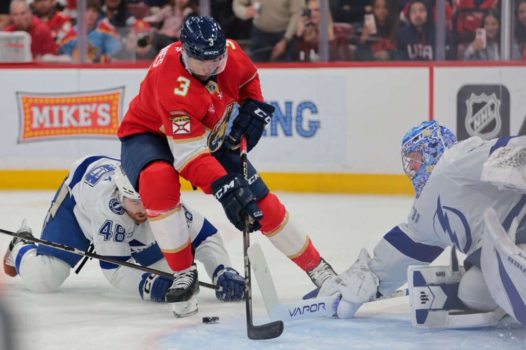 Panthers halt rival Lightning's 8-game win streak - Field Level Media ...