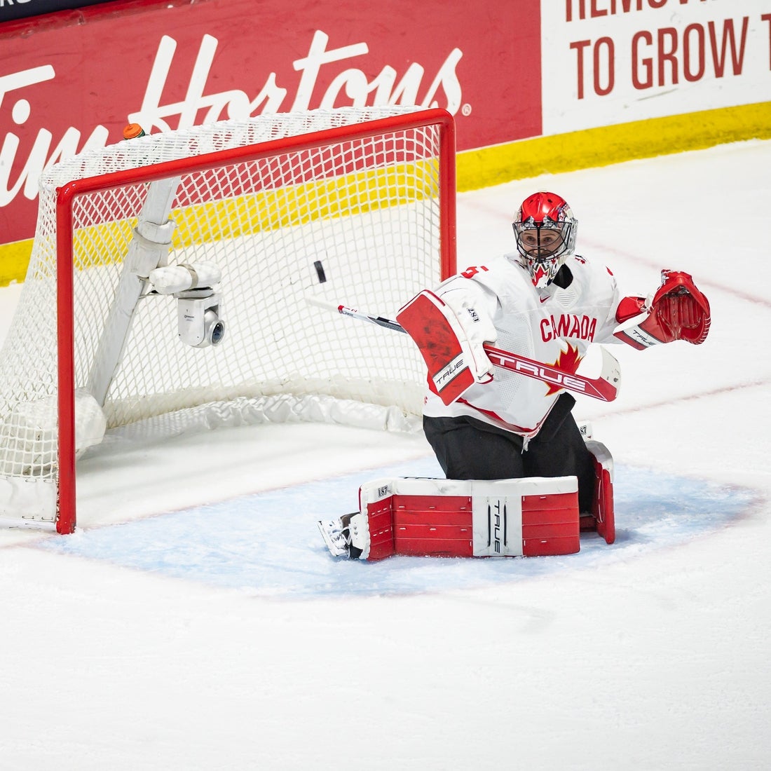 Victoire activate G Ann-Renee Desbiens - Field Level Media ...